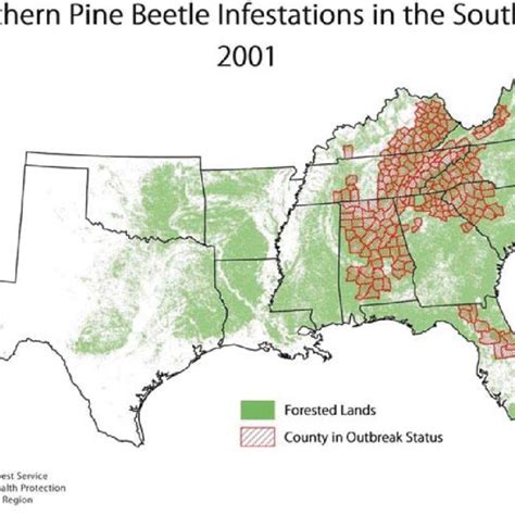 1 A Adult Southern Pine Beetle Photo By Erich Vallery Usda Forest