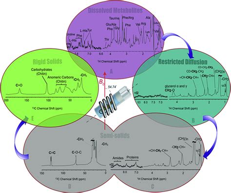 A Series Of Spectral Editing Approaches Applied To Differentiate The