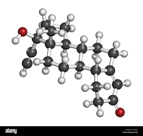 Norethisterone Norethindrone Progestogen Hormone Drug Used In