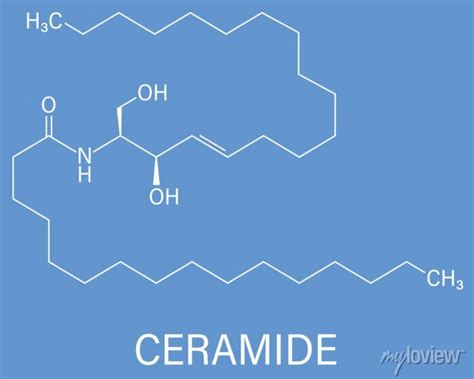 Ceramide Cell Membrane Lipid Molecule Skeletal Formula Wall Stickers Wax Structure
