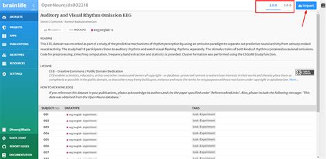 datasets brainlife documentation