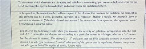 In This Problem The Mutant Number Will Correspond To Chegg Com