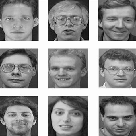 Samples Of Faces From A Biometric Dataset Download Scientific Diagram
