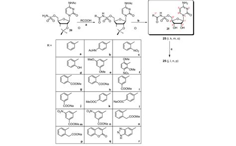 Scheme 5 Reagents And Conditions A Dcc Dmap Dmf 48 H Rt Or I
