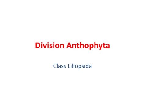 Division Anthophyta Ppt