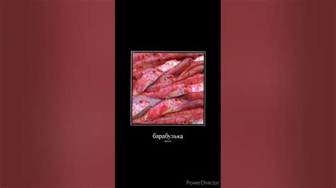 булька барабулька Youtube