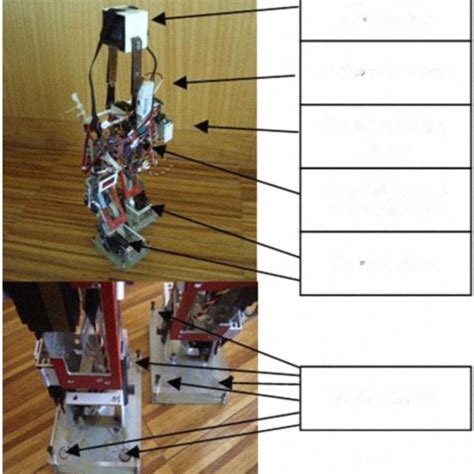 control of the biped robot download scientific diagram