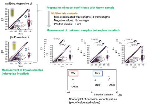HITACHI EEM Systems Hitachi High Tech Corporation