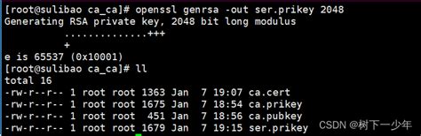 在linux上使用openssl生成ca认证文件并为服务器和客户端颁发ca签名证书linux 生成证书 Csdn博客