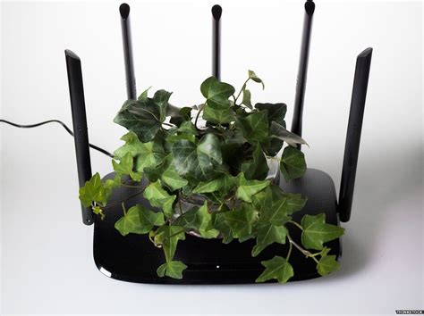 Ways To Make The Wi Fi In Your House More Powerful BBC Newsbeat