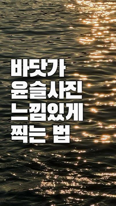 바닷가 윤슬사진 느낌있게 찍는 법 Youtube