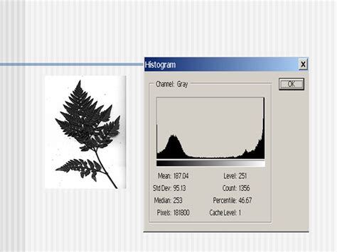 Chapter The Gray Level Histogram 灰度直方图 The gray level histogram is a function showing for