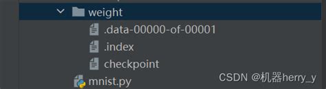 深度学习模型权重参数的保存和加载（包括选择最优权重） 基于tensorflow模型权重加载不上 Csdn博客