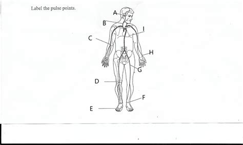 Nursing Fundamentals Lab Vitals Week 3 Diagram Quizlet