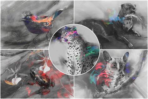 نقاشی‌های جذاب از حیوان‌هایی که در خطر انقراض قرار دارند