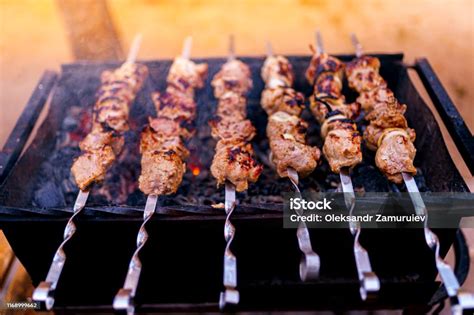금속 꼬치에 구운 케밥 요리 바비큐에서 조리한 구운 고기 전통적인 동양 요리 쉬쉬 케밥 숯과 불꽃 피크닉 길거리 음식에 그릴