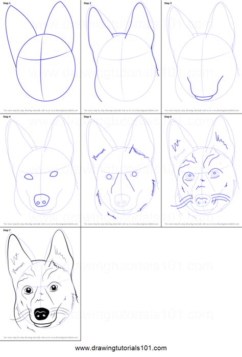 Как нарисовать овчарку легко 27 фото