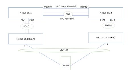 Difference Between Host Vpc Fabric Vpc And Enhanced Vpc On Nexus
