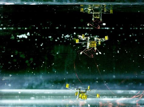 Aerial Aquatic Microrobot