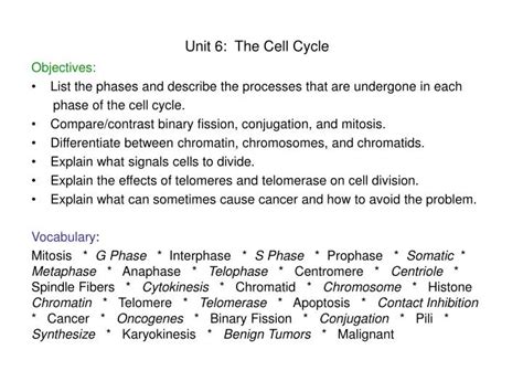 PPT Unit 6 The Cell Cycle PowerPoint Presentation Free Download ID 3719655