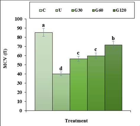 The Level Of MCV In Several Groups C Control U Untreated G Download Scientific Diagram