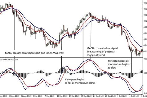 How To Trade With A MACD Indicator Eightcap Labs