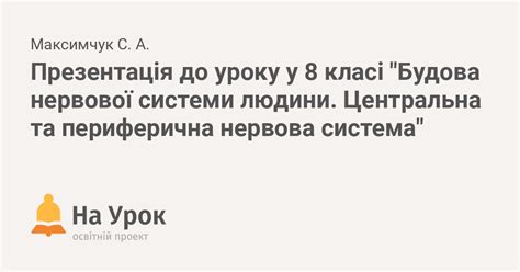 Презентація до уроку у 8 класі Будова нервової системи людини Центральна та периферична