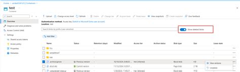 Azure Data Lake Storage Permanent Deletion Doesnt Reduce File Size
