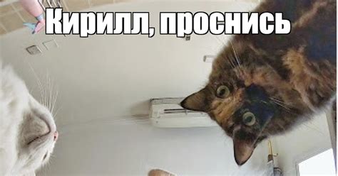 Вышла моя книга для детей по программированию на python Пикабу
