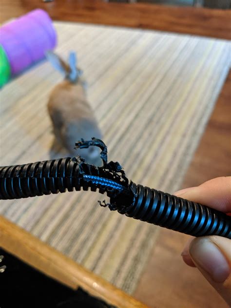 How To Put Wire Protector At Eva Timmins Blog