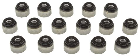 SS45549 Seal Mahle-Clevite Michigan