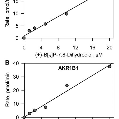 Velocity Versus Substrate Concentration Plots For The Oxidation Of Download Scientific Diagram