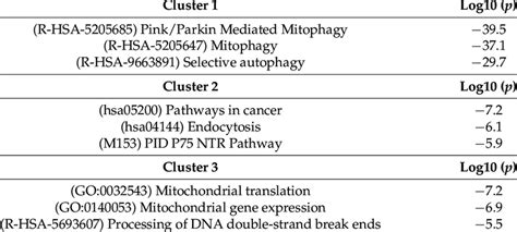 Pathway Reactome Keeg Canonical And Go Term Enrichment Analysis