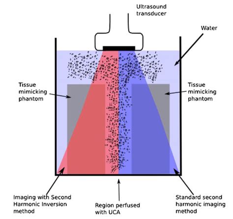 Imaging Set Up The Two Gray Squares Are The Tissue Mimicking Phantoms