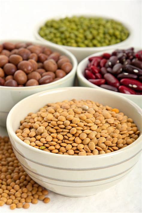 Group Of Beans And Lentils Stock Illustration Illustration Of Farming 366598820