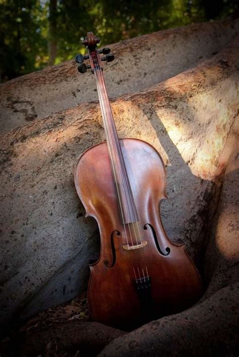 Cello Lesson 20 Minute Bronwen Whyatt