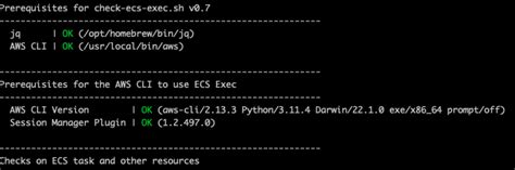 Insufficient Permissions To Execute Command Configure A Task Role As