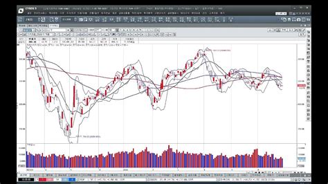 급등주 풀무원 식품주 김밥 김 미국주식 미국대선 트럼프 바이든 주식투자 삼성전자 Sk하이닉스 반도체 엔비디아 마이크론 Hbm 2차전지 에코