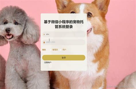 微信小程序vuenodejsuniapp宠物托管寄养系统springbootnodejsuni App养老系统 Csdn博客