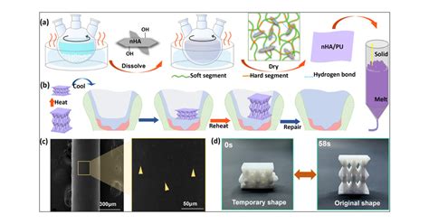 4d Printed Shape Memory Polyurethane Based Composite For Bionic