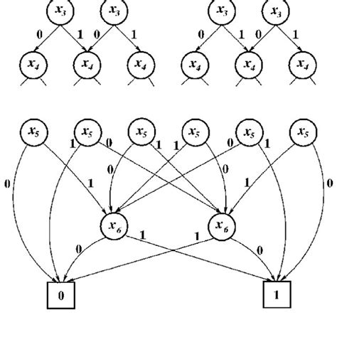Maximum Number Of Nodes At The Levels Of Function G Download Scientific Diagram