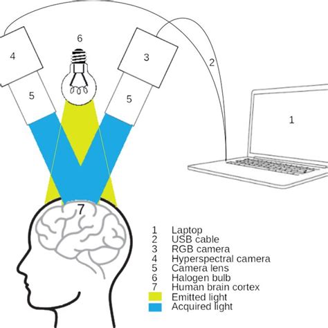 Schematic Of The Simulated Imaging System Download Scientific Diagram