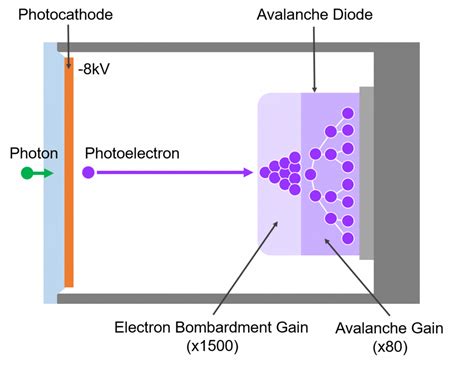 High Speed Hybrid Photodetector Hs Hpd Edinburgh Instruments