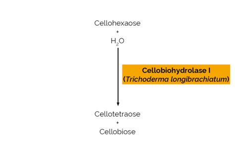 Cellobiohydrolase I Trichoderma Longibrachiatum Enzyme Megazyme