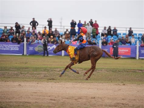 Б Энхзоригийн хээр халзсан даага түрүүлж Аймгийн алдарт уяач Т Ганжаргалын хул баян ходоодод