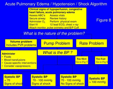 Ppt Acls Algorithms Powerpoint Presentation Id298148