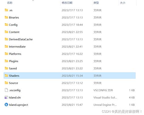 Ue5入门学习笔记（二）——ue52蓝图custom节点使用hlsl以及自定义ush、usf文件ue5引用自己的usf文件 Csdn博客
