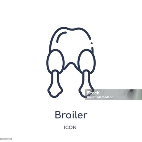 주방 개요 컬렉션에서 선형 육계 아이콘입니다 얇은 라인 육계 아이콘 흰색 배경에 고립입니다 브로 일러 트 렌 디 일러스트레이션 가금류에 대한 스톡 벡터 아트 및 기타 이미지