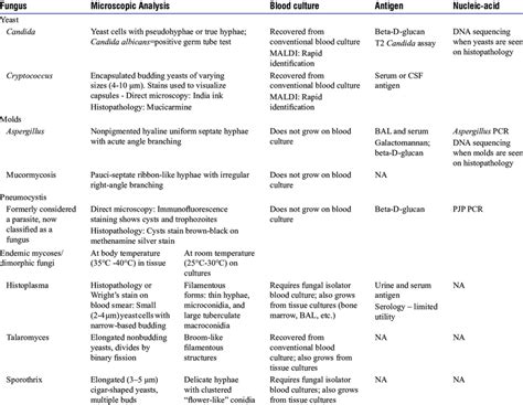 Microbiological Diagnosis Of Invasive Fungal Infections Download Scientific Diagram