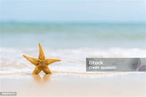 모래 해변 푸른 하늘 부드러운 웨이브 배경에 불가사리 여름 휴가 휴가 개념입니다 0명에 대한 스톡 사진 및 기타 이미지 0명